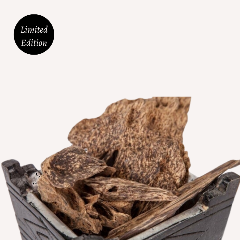 Check out our Raw Oud Wood – Oudimentary