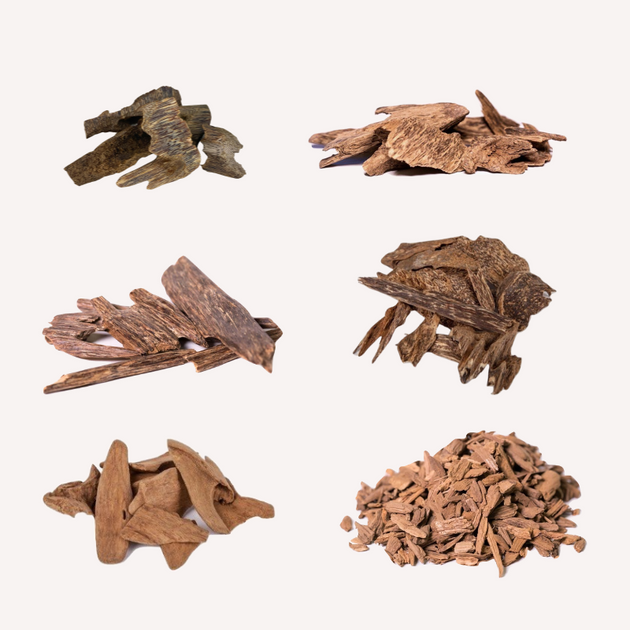 Explore Oudimentary's Raw Oud Sampler | Discover the diverse aromas