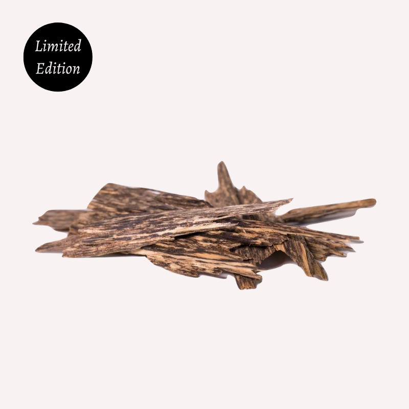 Check out our Raw Oud Wood – Oudimentary